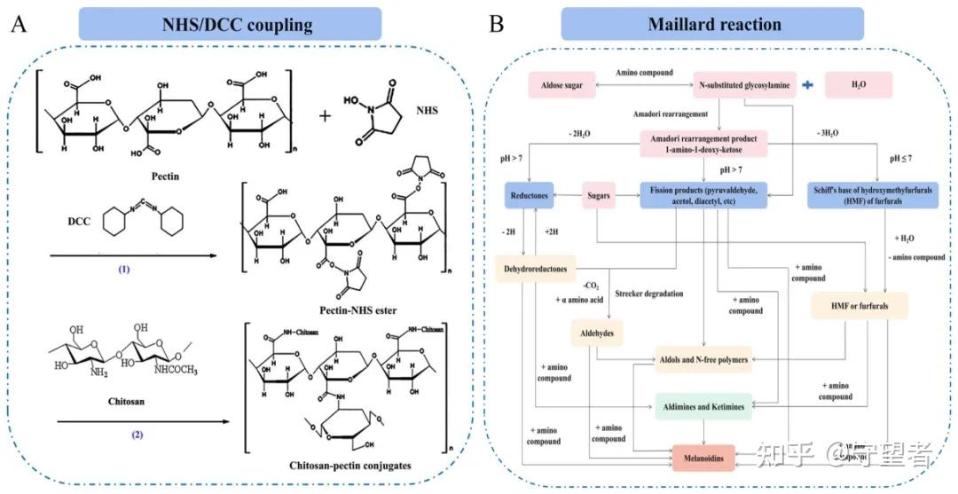 Food Chemistry：壳聚糖基共轭物的形成机理和功能性及其在o/w乳液系统中的应用 - 知乎