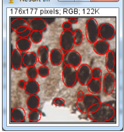 Imagej图像处理实践（ImageJ学习-图像处理 545367350） - 知乎