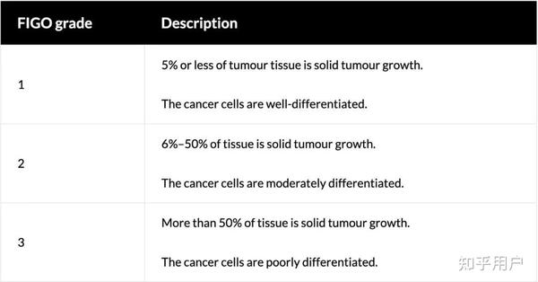 子宫内膜癌的组织学分级及分子分级 - 知乎