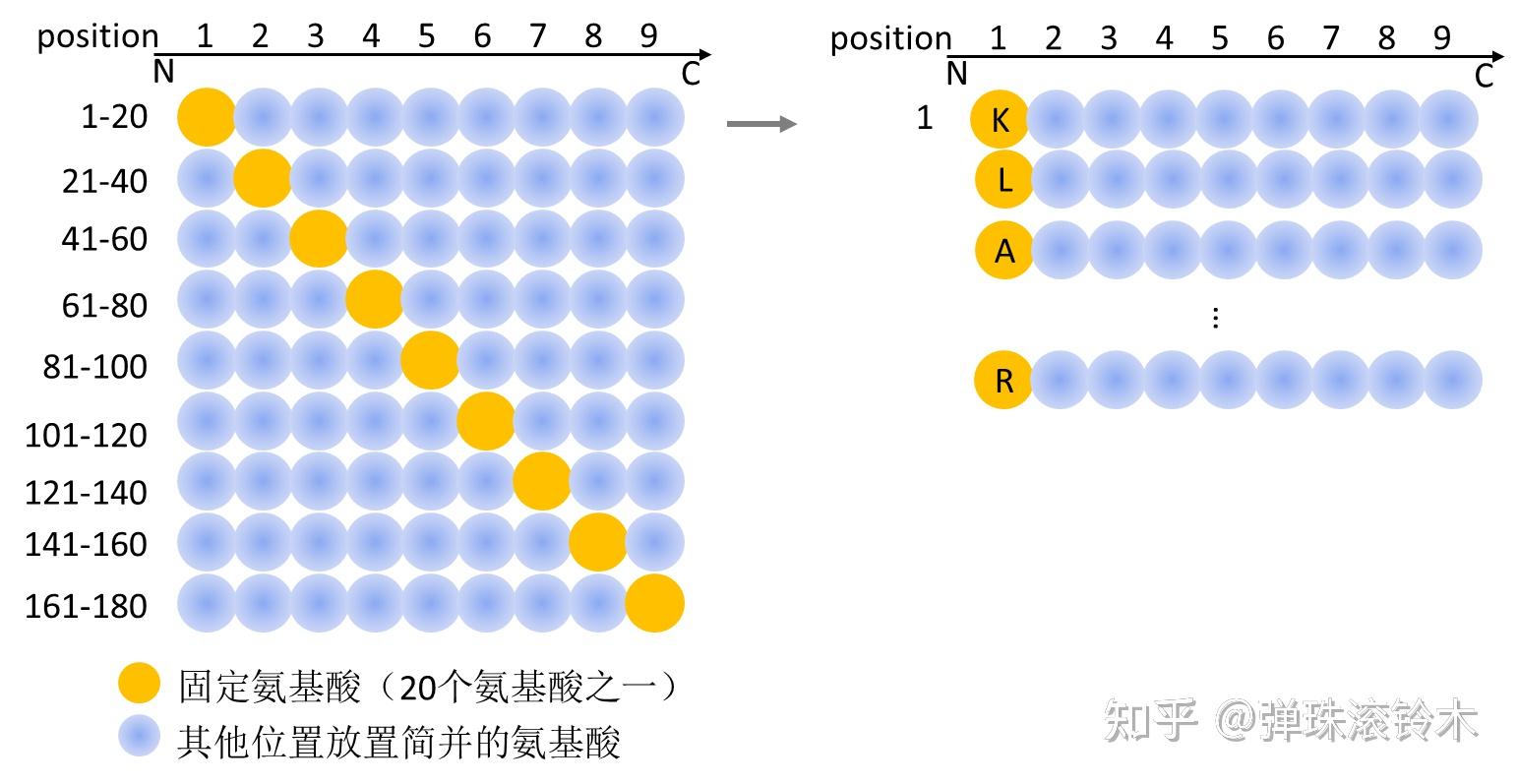怎么鉴定一个TCR识别的表位 - 知乎