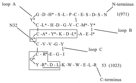 带您认识“表皮细胞生长因子”— EGF - 知乎