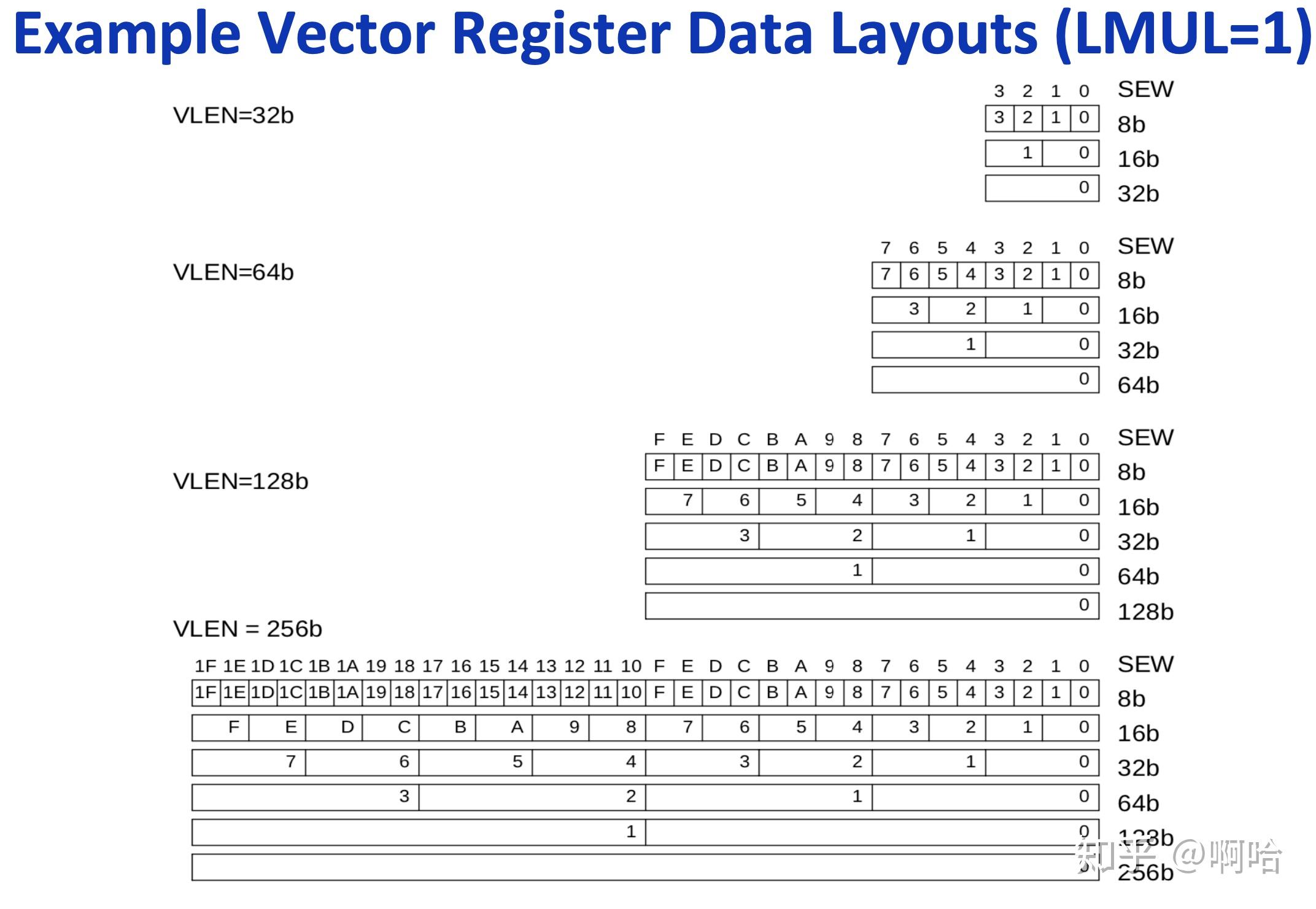 RISC-V Vector Extension学习笔记 - 知乎