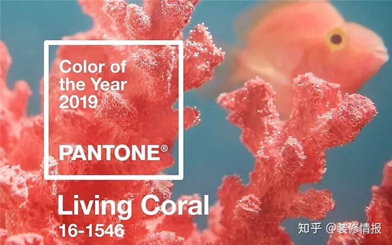 色彩权威 Pantone发布2019流行色，别OUT了！ - 知乎