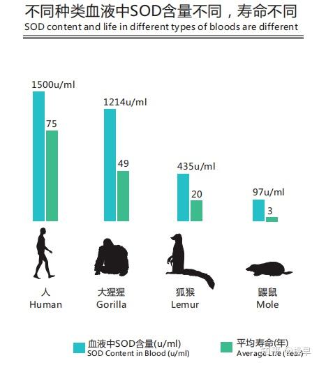 SOD——诺贝尔医学奖的结晶，神秘的生命动力 - 知乎