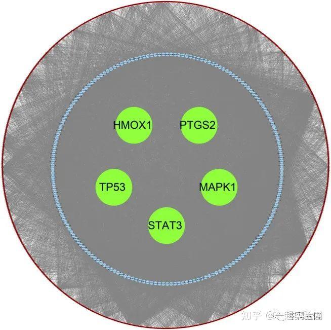 6+ hub基因加ceRNA网络 - 知乎