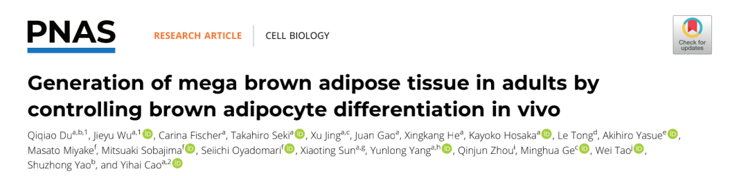 PNAS︱瑞典卡罗林斯卡医学院曹义海院士团队通过调节“守门员”制造超级大棕色脂肪 - 知乎