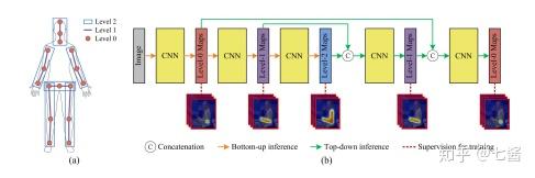 2020 Pose Estimation人体骨骼关键点检测综述笔记（有空更新） - 知乎