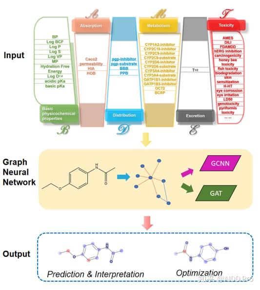 Interpretable-ADMET：一种用于预测和优化ADMET性质的Web服务 - 知乎