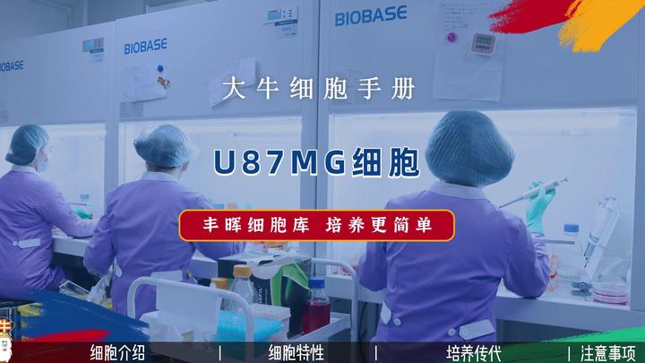 U87MG细胞培养，人恶性胶质母细胞瘤细胞培养攻略 - 知乎