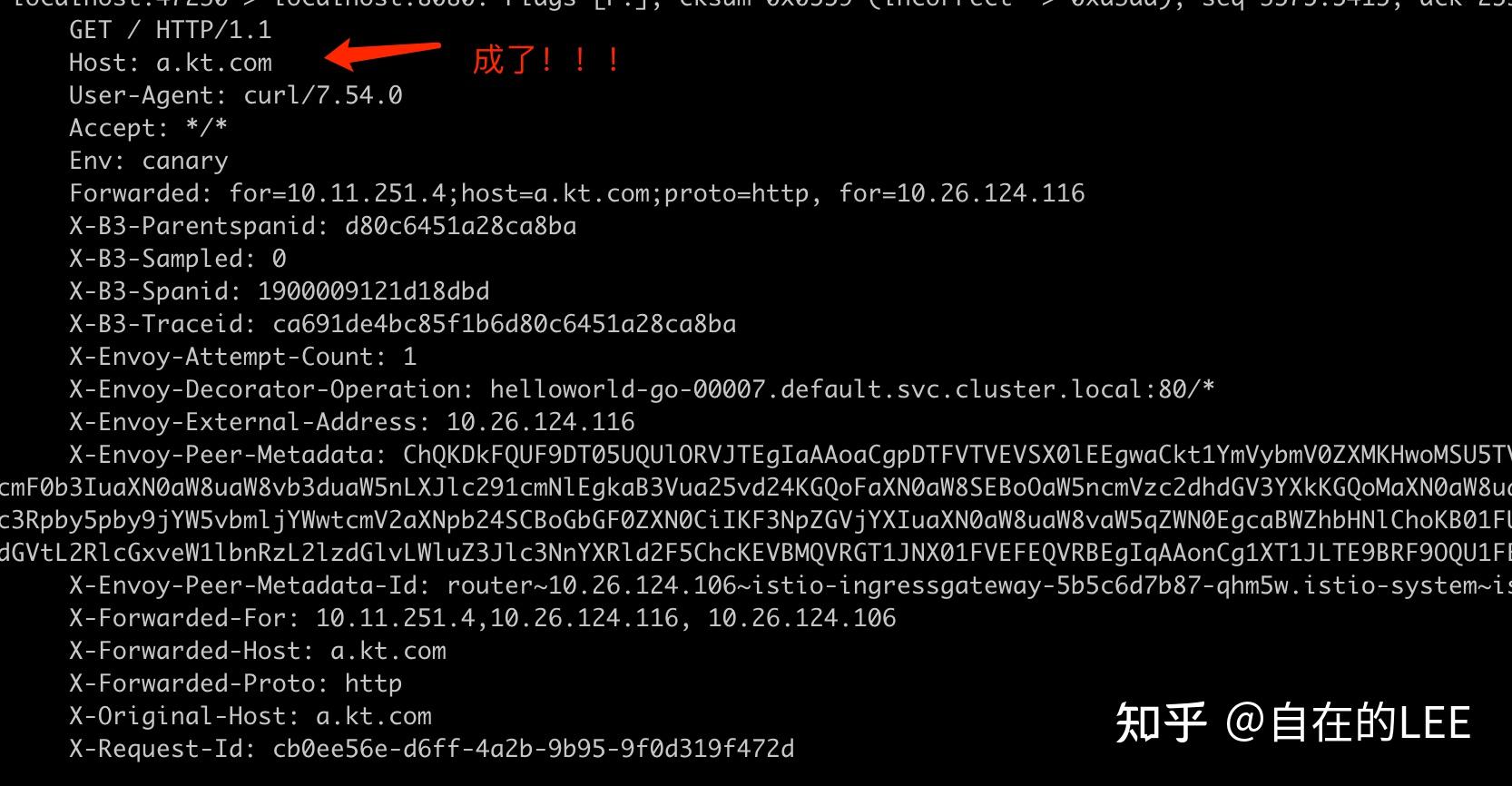 小坑,大跟头。如何正确在 Golang 中在处理 Request 之前修改 Host 字段内容 知乎 8969
