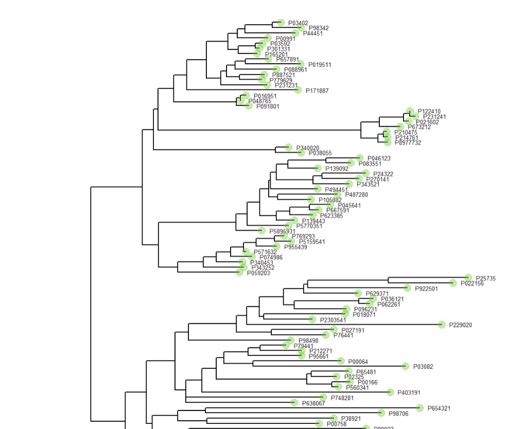 iqtree+ggtree绘制进化树教程 - 知乎
