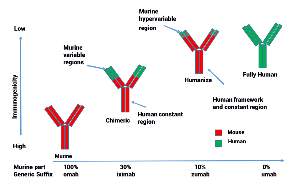 基于LBA技术的抗体类药物临床前PK生物分析策略与路径 - 知乎