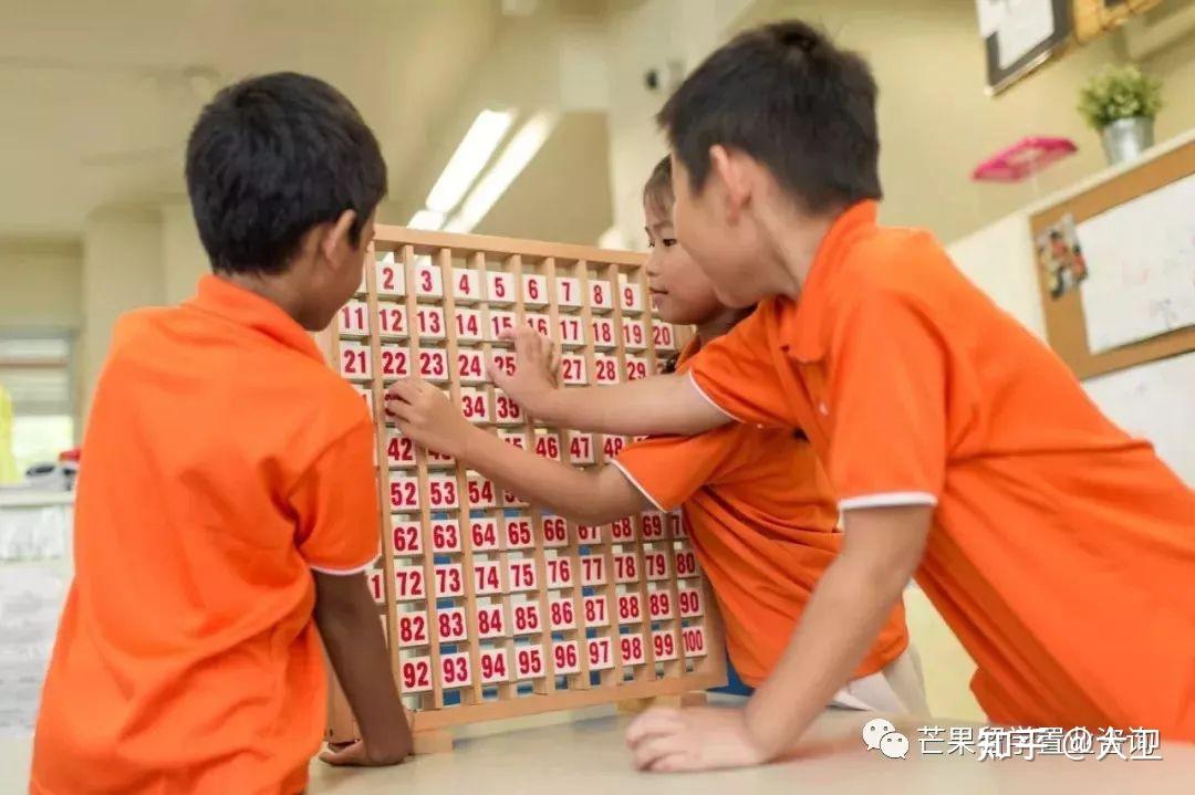 CEQ考试最清晰易懂指南 - 知乎