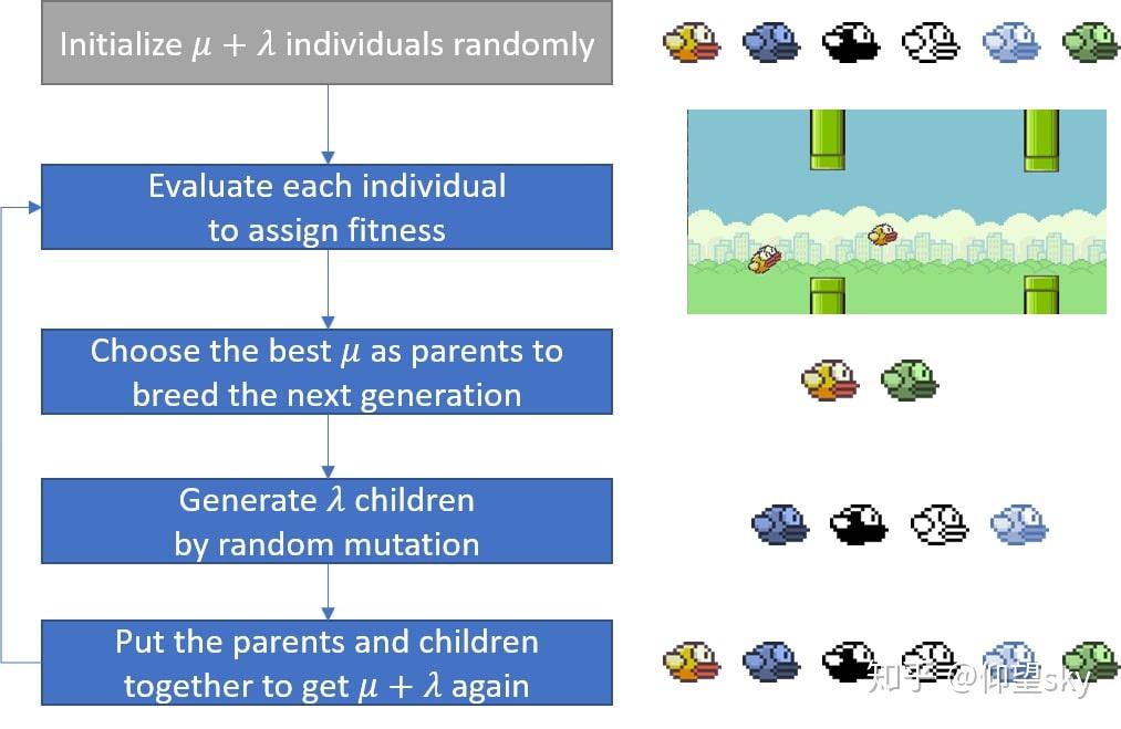 使用Python和遗传规划(Genetic Programming)玩转Flappy Bird - 知乎