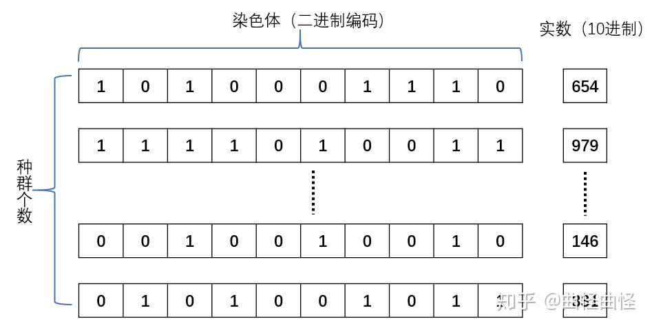 智能算法之genetic Algorithm遗传算法 知乎 