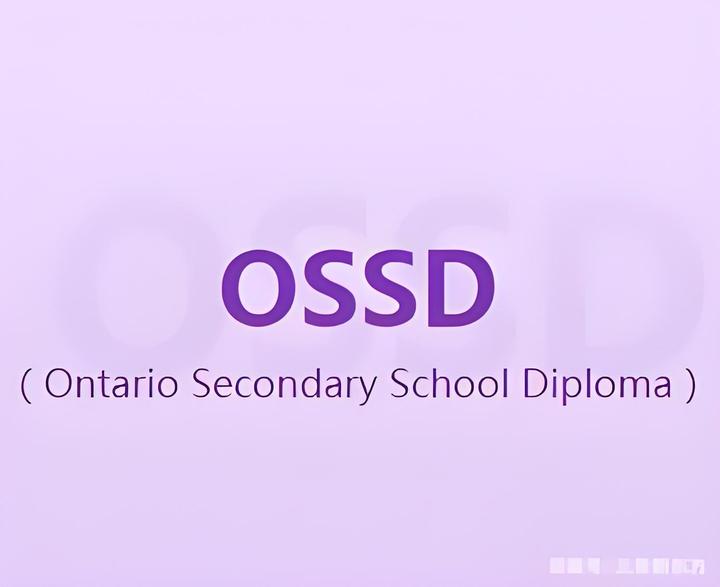 2024年高考后还能靠OSSD弯道超车吗？ - 知乎