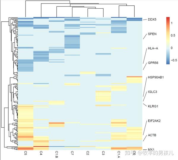 跟着Nature Methods学画图：R语言画热图（pheatmap）展示基因表达量 - 知乎