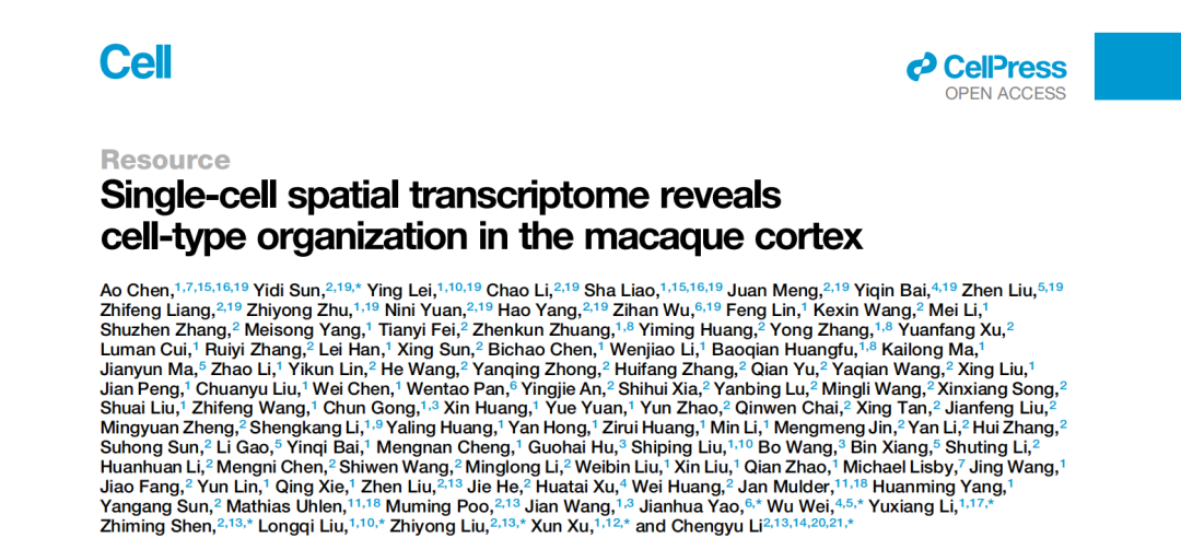 Cell | 成年猕猴全脑皮层单细胞分辨率空间图谱揭示细胞组织模式 - 知乎