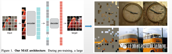 追一追"新鲜出炉"的ConvNeXt-V2 - 知乎