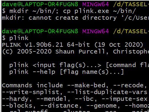 如何运行plink软件--三种方法 - 知乎