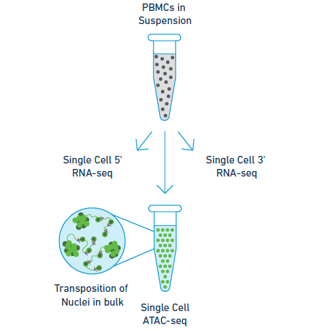 一文读懂表观遗传学研究利器——ATAC-seq技术及应用丨深度长文 - 知乎