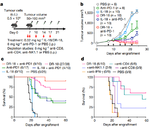 分泌型免疫检查点 - IL18BP - 知乎