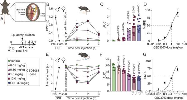 PNAS︱创新小分子！美国纽约大学团队开发慢性疼痛的CaV2.2 N-型钙通道的拟肽调节剂 - 知乎