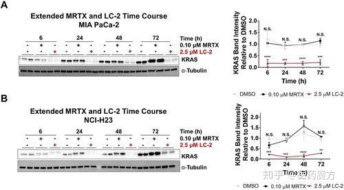姜标点评 | 靶向KRAS，PROTAC来了 - 知乎