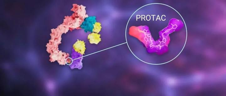 PROTAC——靶点选择与设计 | MedChemExpress - 知乎