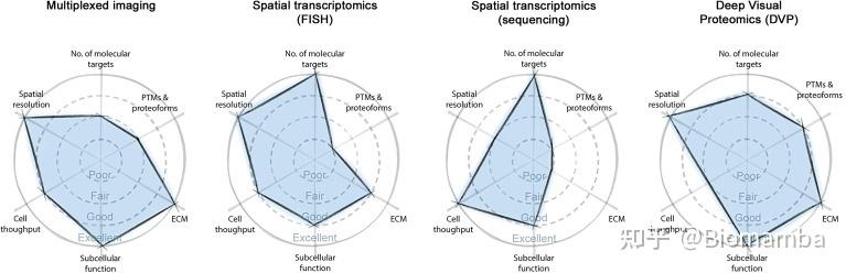 一文了解2024《Nature Method》年度研究方法：空间蛋白质组学 - 知乎