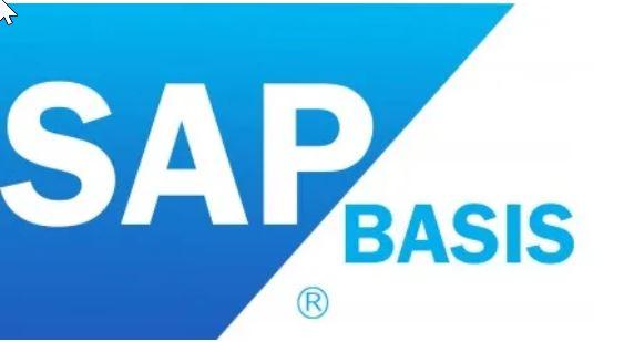 SAP BASIS基础-BASIS简介 - 知乎
