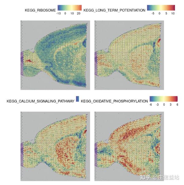 GSEA番外篇| GESECA-基因集协同调节分析 - 知乎