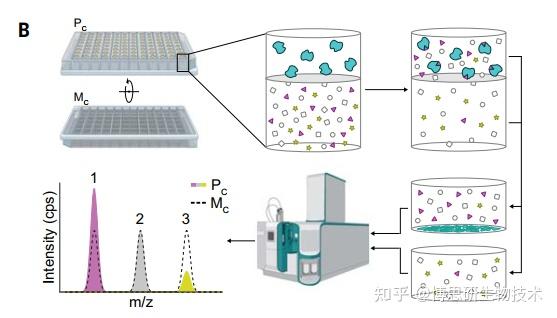 Science | 一种可用于鉴定蛋白-代谢物互作的高灵敏度工具：MIDAS - 知乎