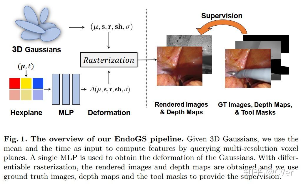 3DGS杀入医学影像！EndoGS：Gaussian Splatting的可变形内窥镜组织重建 - 知乎