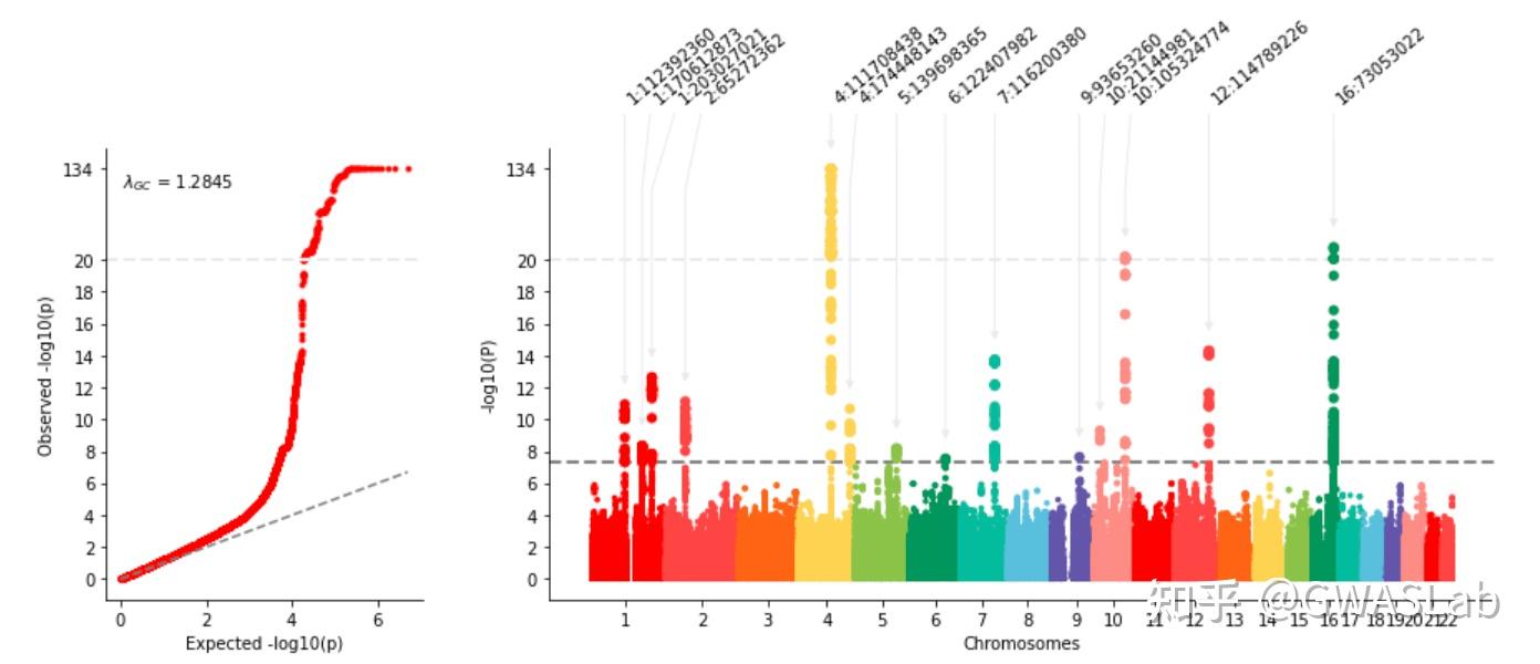 一行python画Manhattan plot与QQ plot - 知乎