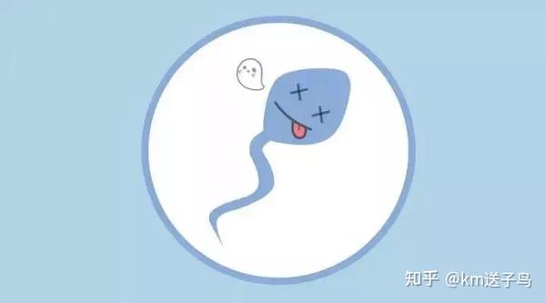 常见的引起男性不育的因素有哪些? 知乎