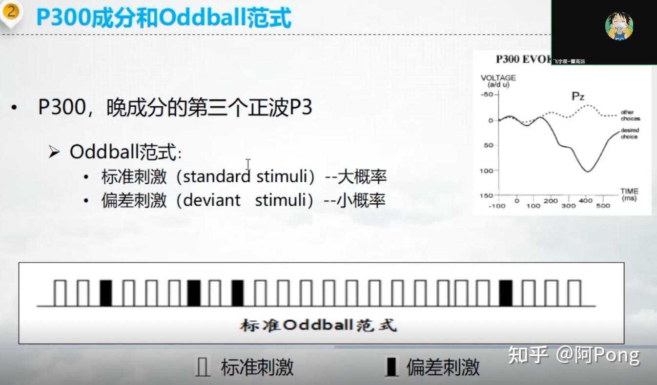 脑电学习 - 知乎