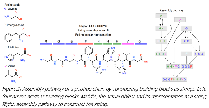 Assembly theory explains and quantifies selection and evolution - 知乎