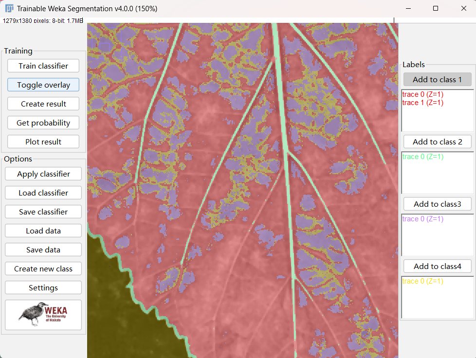 ImageJ + 机器学习图像处理 - 知乎