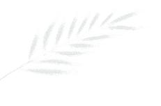 一读看懂QDPAK 封装的原理与应用 - 知乎