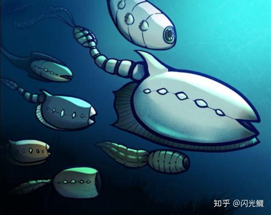 有哪些长相奇特已经灭绝的生物？ - 知乎