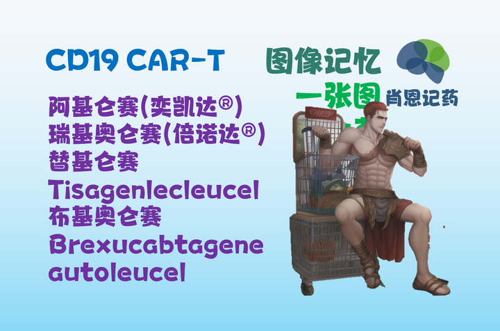 记住所有FDA生物药 | 4款CD19 CAR-T | 阿基仑赛、瑞基奥仑赛、替基仑赛，布基奥仑赛 | 大B细胞淋巴瘤 - 知乎