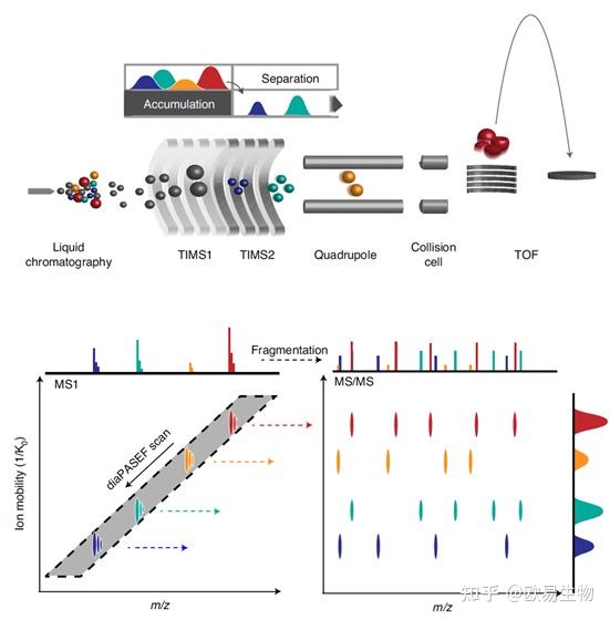 Matthias Mann教授36万次引用：让质谱仪看见细胞每个蛋白质故事 - 知乎