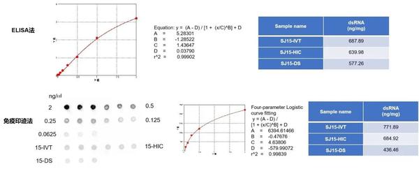 吸睛系列(二)丨一文了解mRNA IVT副产物dsRNA - 知乎