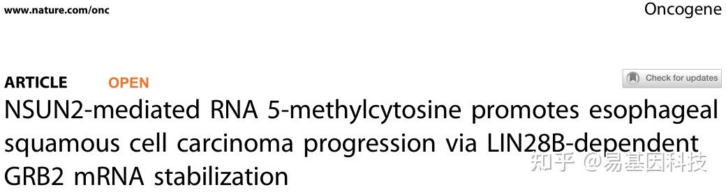 易基因｜NSUN2介导RNA m5C修饰促进食管鳞状细胞癌进展的表观调控机制 | 肿瘤研究 - 知乎