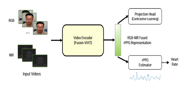 【rPPG论文阅读】Self-Supervised RGB-NIR Fusion Video Vision Transformer ...
