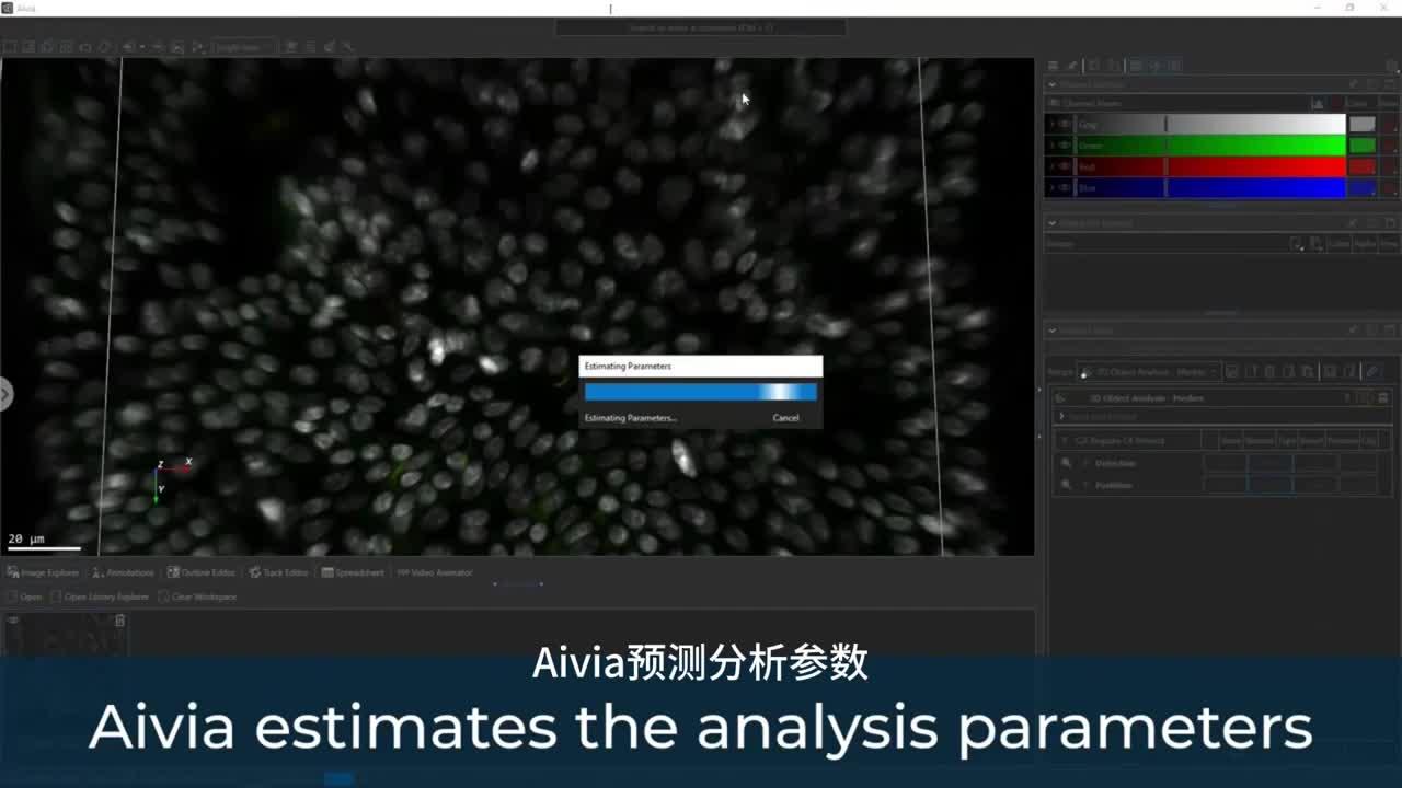 掌握Aivia！快速入门使用指南 - 知乎