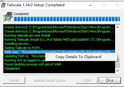 从安装包理解tailscale - 知乎
