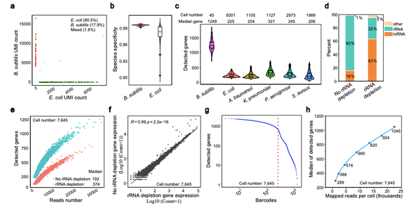 技术应用｜微生物转录组新技术实现高通量微生物scRNA-seq - 知乎