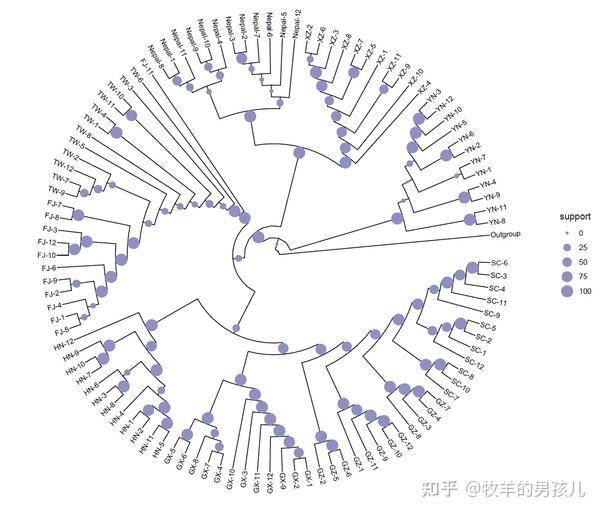 跟着Nature Plants学作图：R语言ggtree包展示进化树 - 知乎